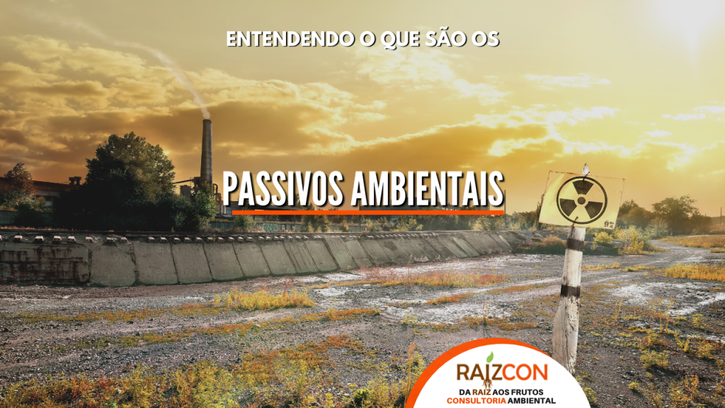 Principais leis ambientais | RAÍZCON
